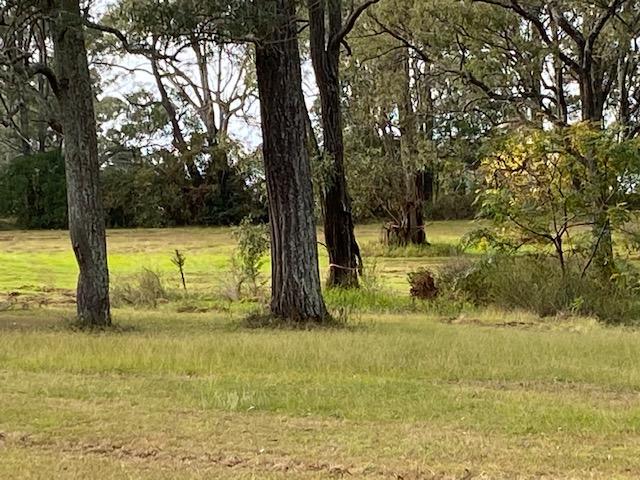 Choosing the Right Timber for Your Balustrade: A Wood Lover's Guide