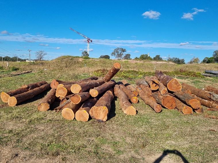 Reclaimed Ironbark Logs - Sustainable Timber for Unique Designs