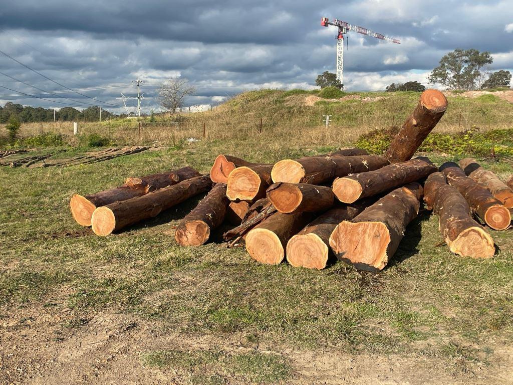 Choosing the Right Timber for Your Balustrade: A Wood Lover's Guide