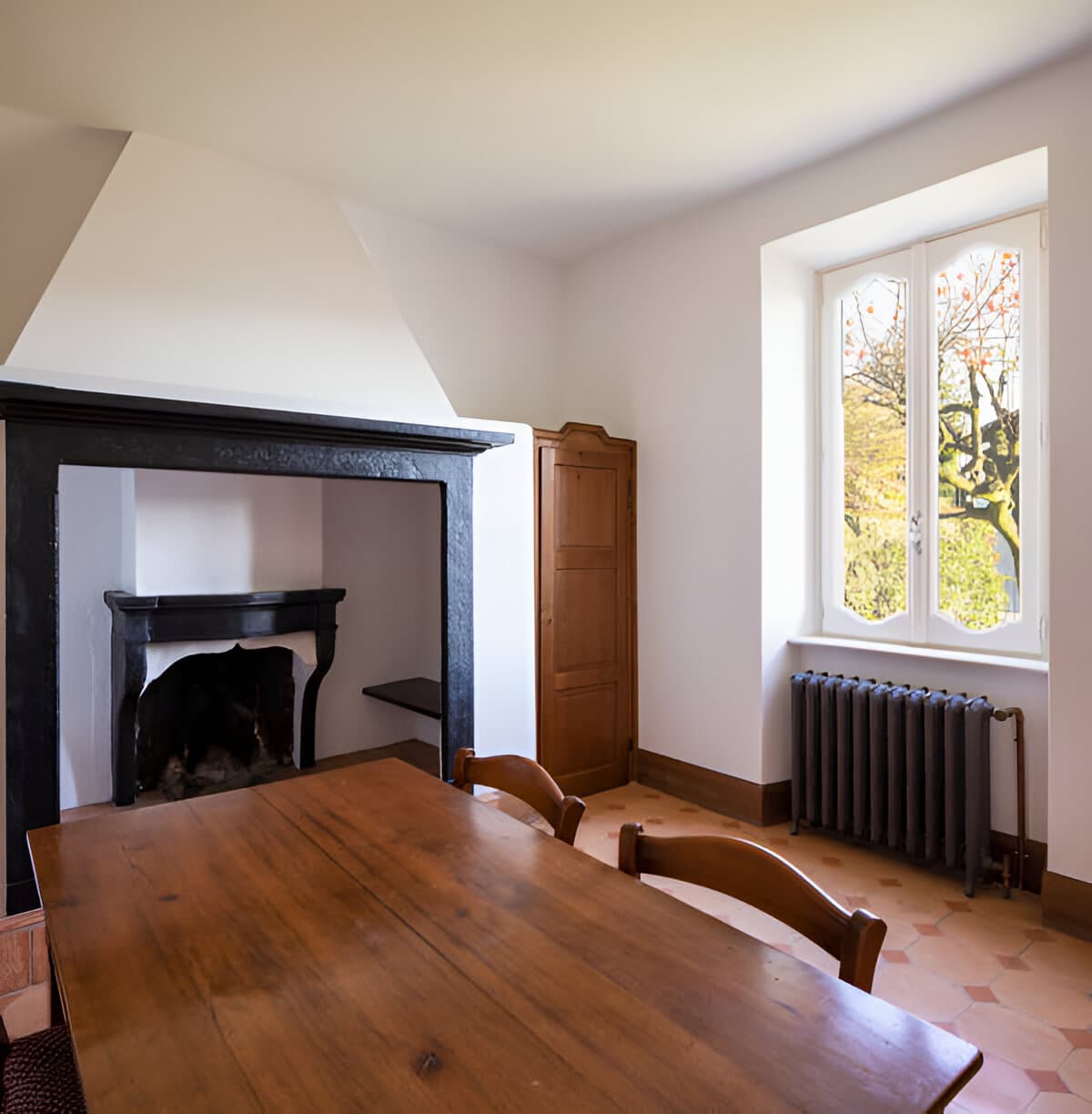 Victorian Ash Explained: A Versatile and Sustainable Hardwood