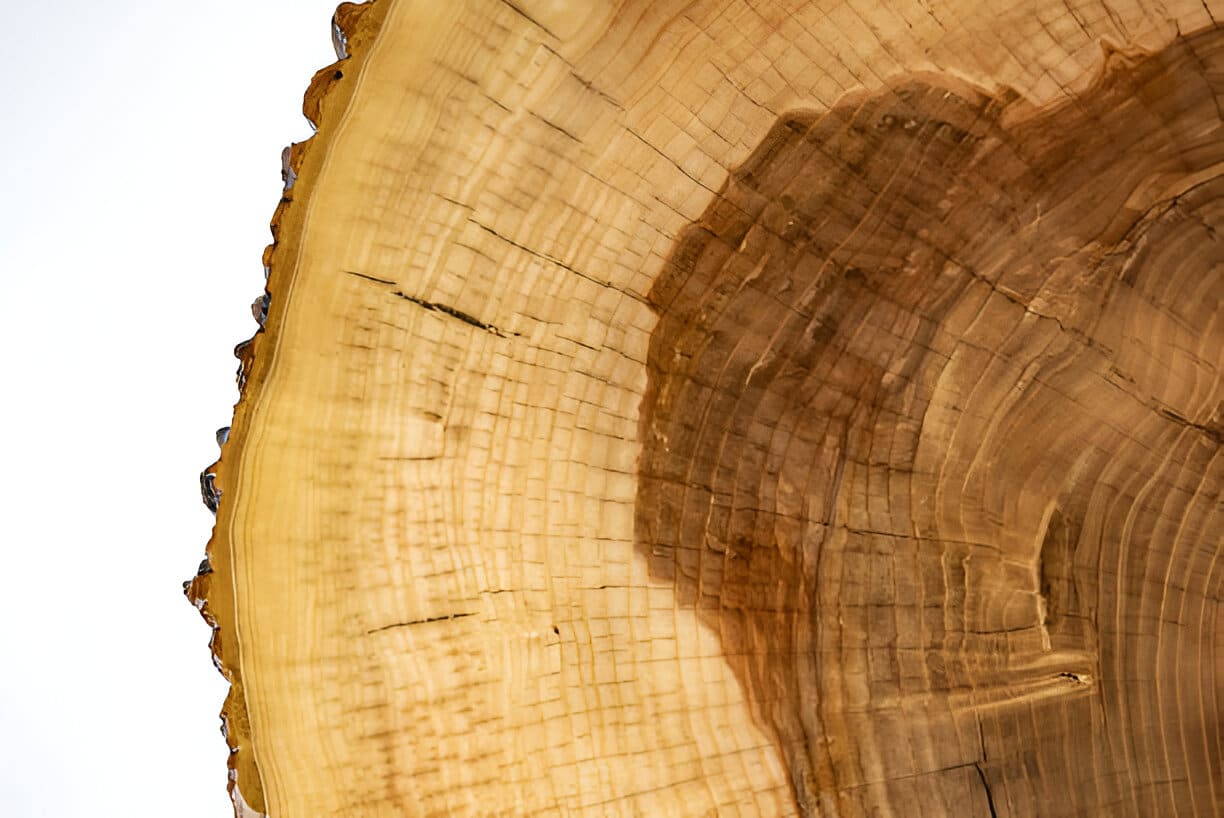 Strong, Stylish, Sustainable: Ironbark Timber from Austimber